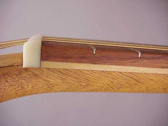 FRETS.COM New Instruments